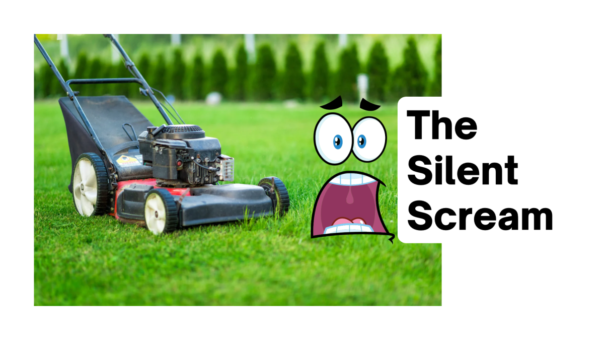 The silent scream – Nalla Madras